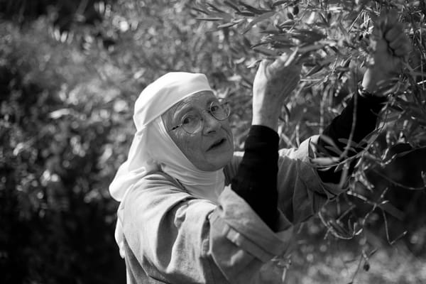 'A symbol of Palestinian resilience as old as time'